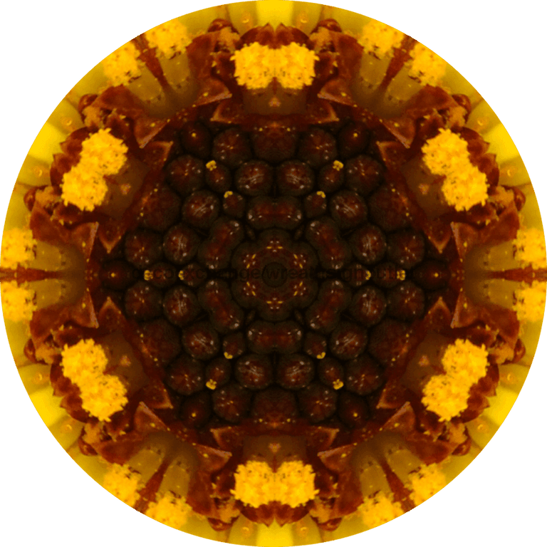 All Products – Wreath Sign Outlet